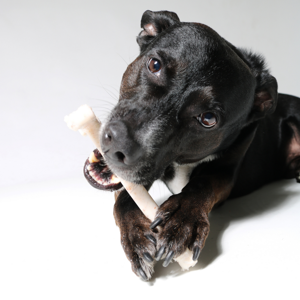 White Dog Bone - Naturally Flavored – shopbullibone